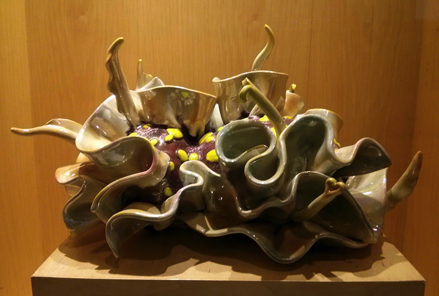 Fire Sponge Tedania Ignis | Kemper Museum of Contemporary Art