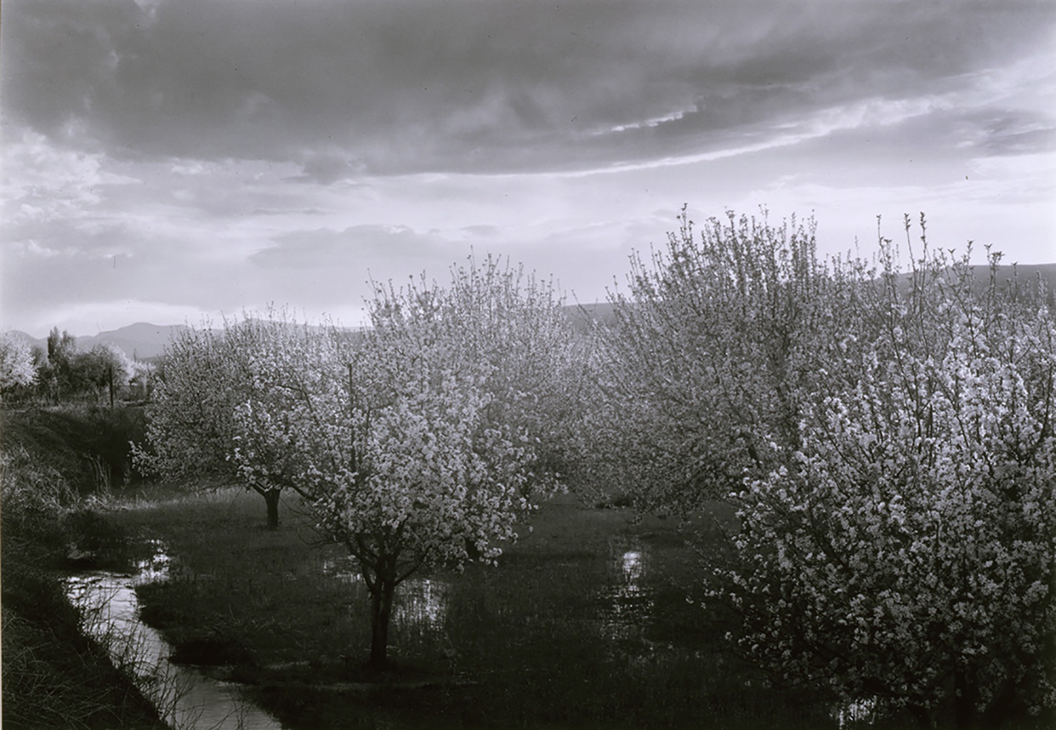 Peter Hurd Home, San Patricio | Kemper Museum of Contemporary Art