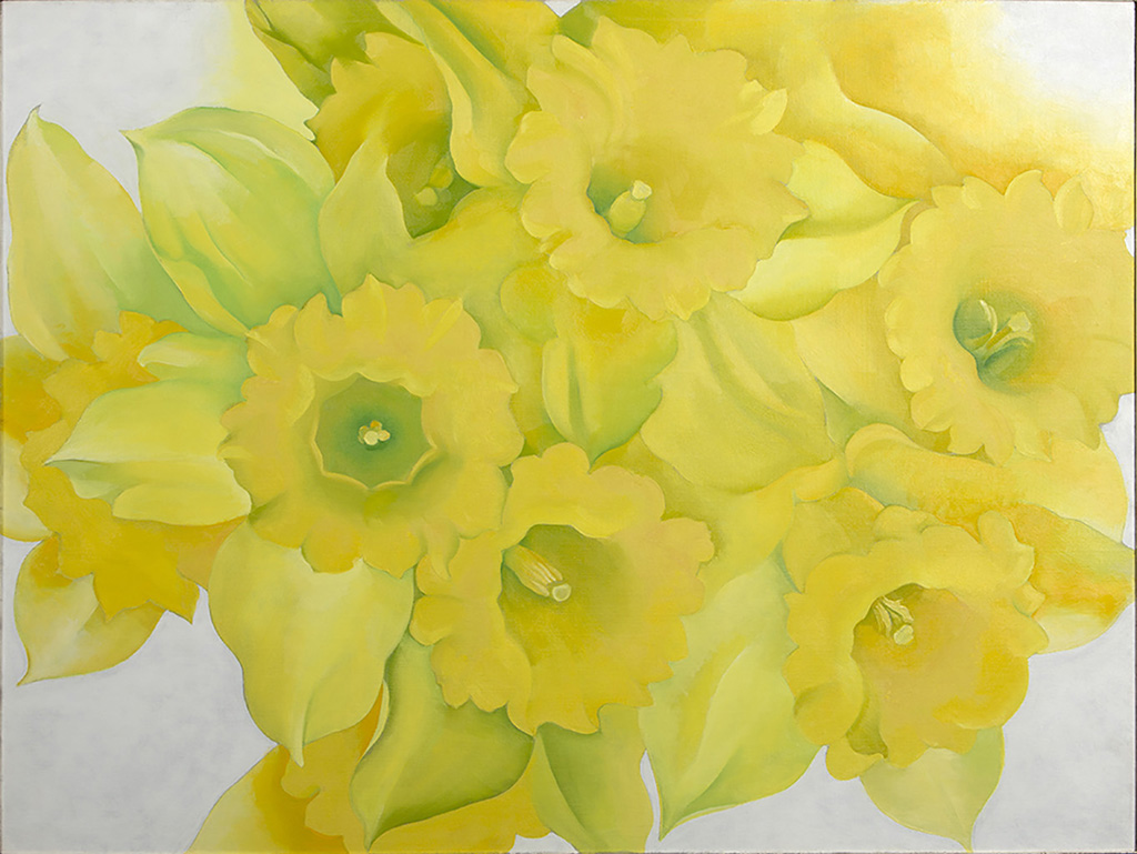 Yellow Jonquils #3 | Kemper Museum of Contemporary Art
