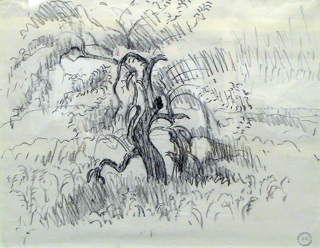 Old Gnarled Tree in a Field | Kemper Museum of Contemporary Art