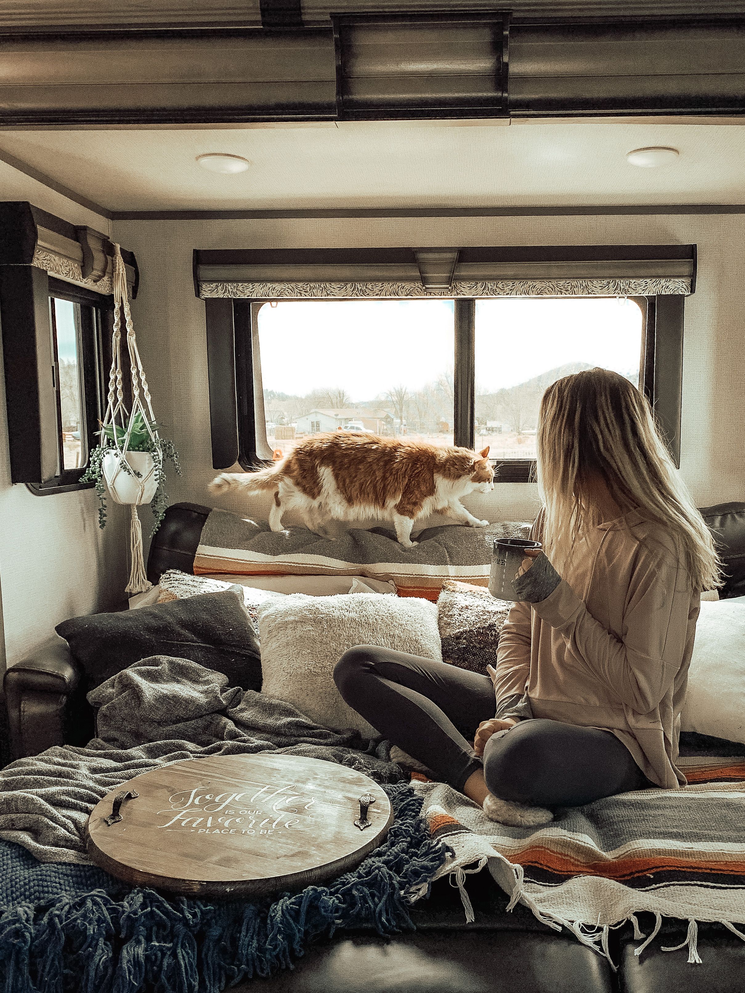 What are the best 2022 RVs for Pets? | Keystone RV Blog - Keystone RV