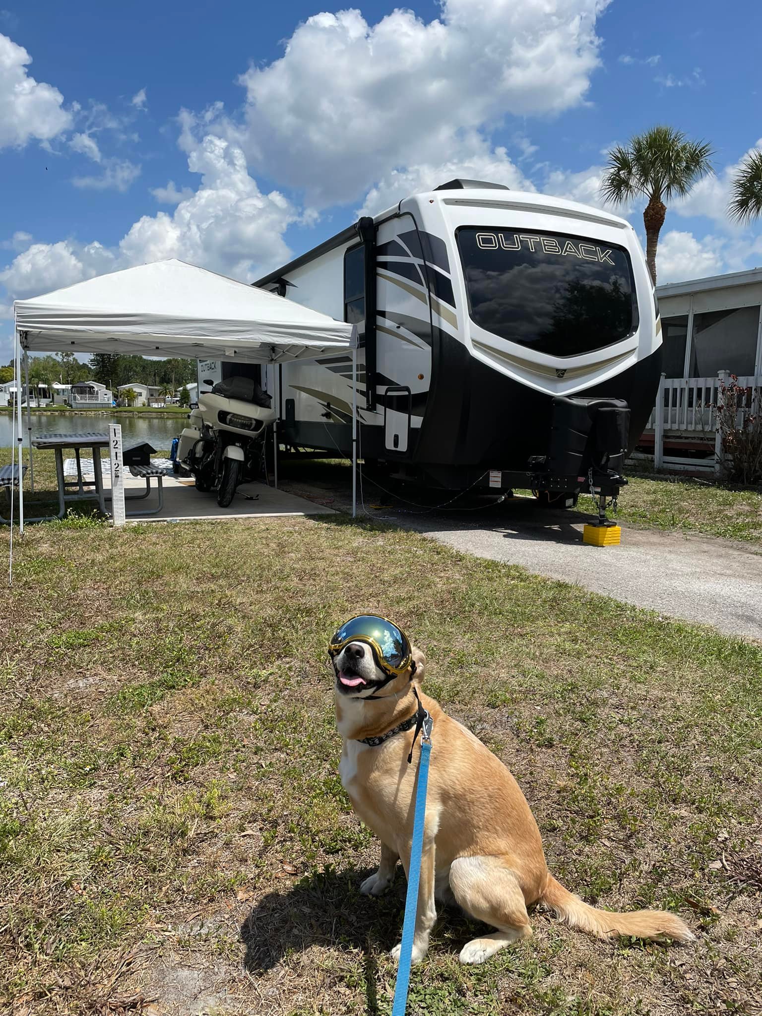 What are the best 2022 RVs for Pets? | Keystone RV Blog - Keystone RV