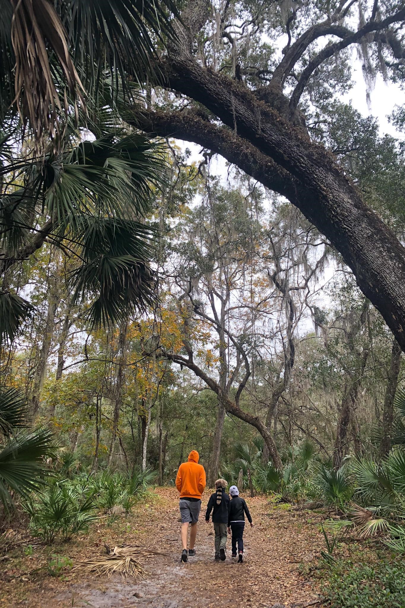 5 Incredible Hidden Campgrounds in Florida | Keystone RV Company ...