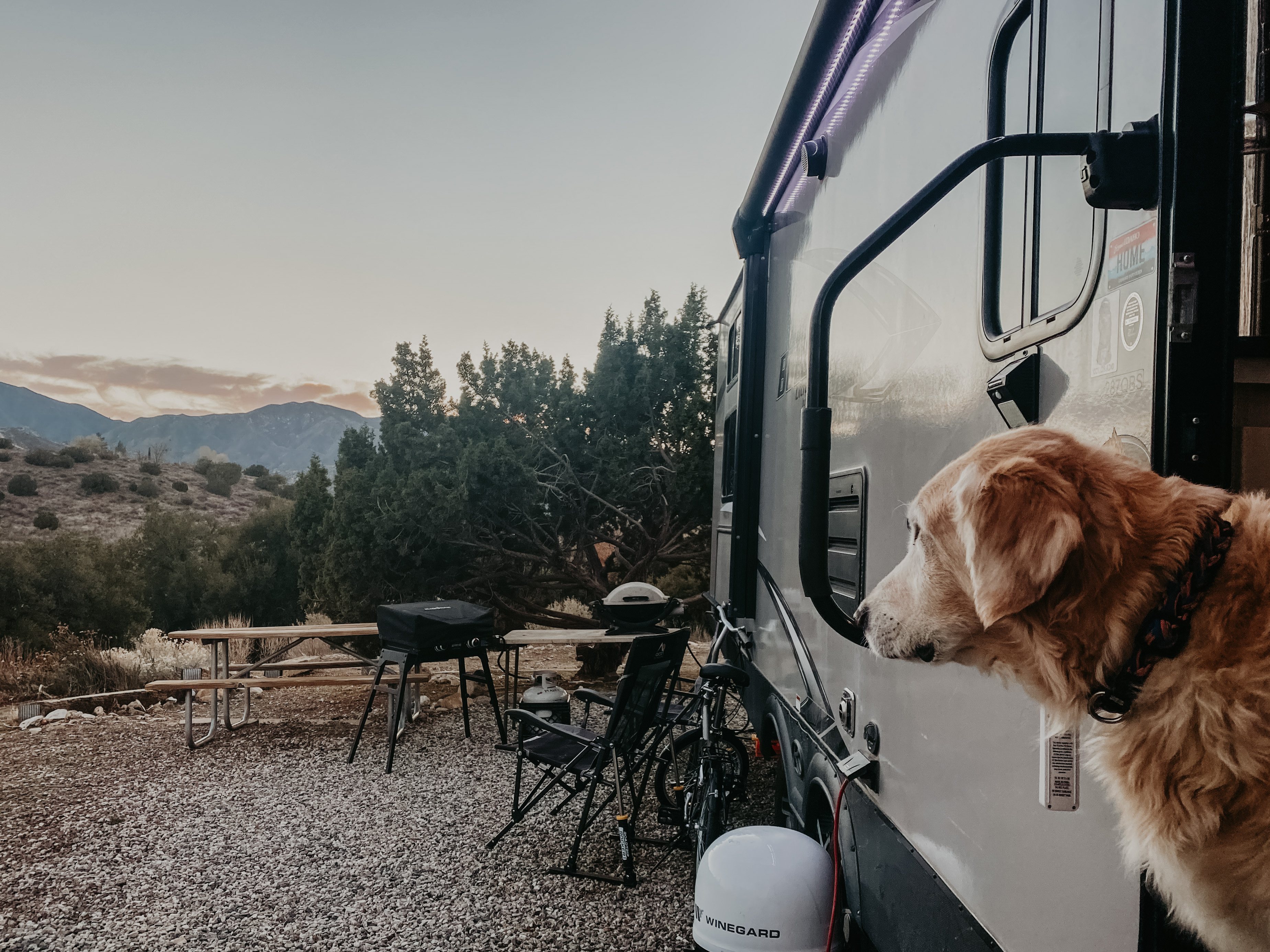 RV Travel with Pets: Joys, Challenges, and Essential Tips - Keystone RV