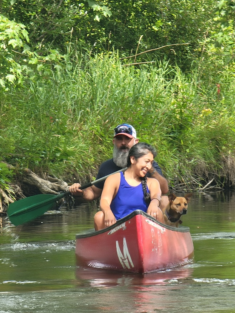 RV Travel with Pets: Joys, Challenges, and Essential Tips - Keystone RV