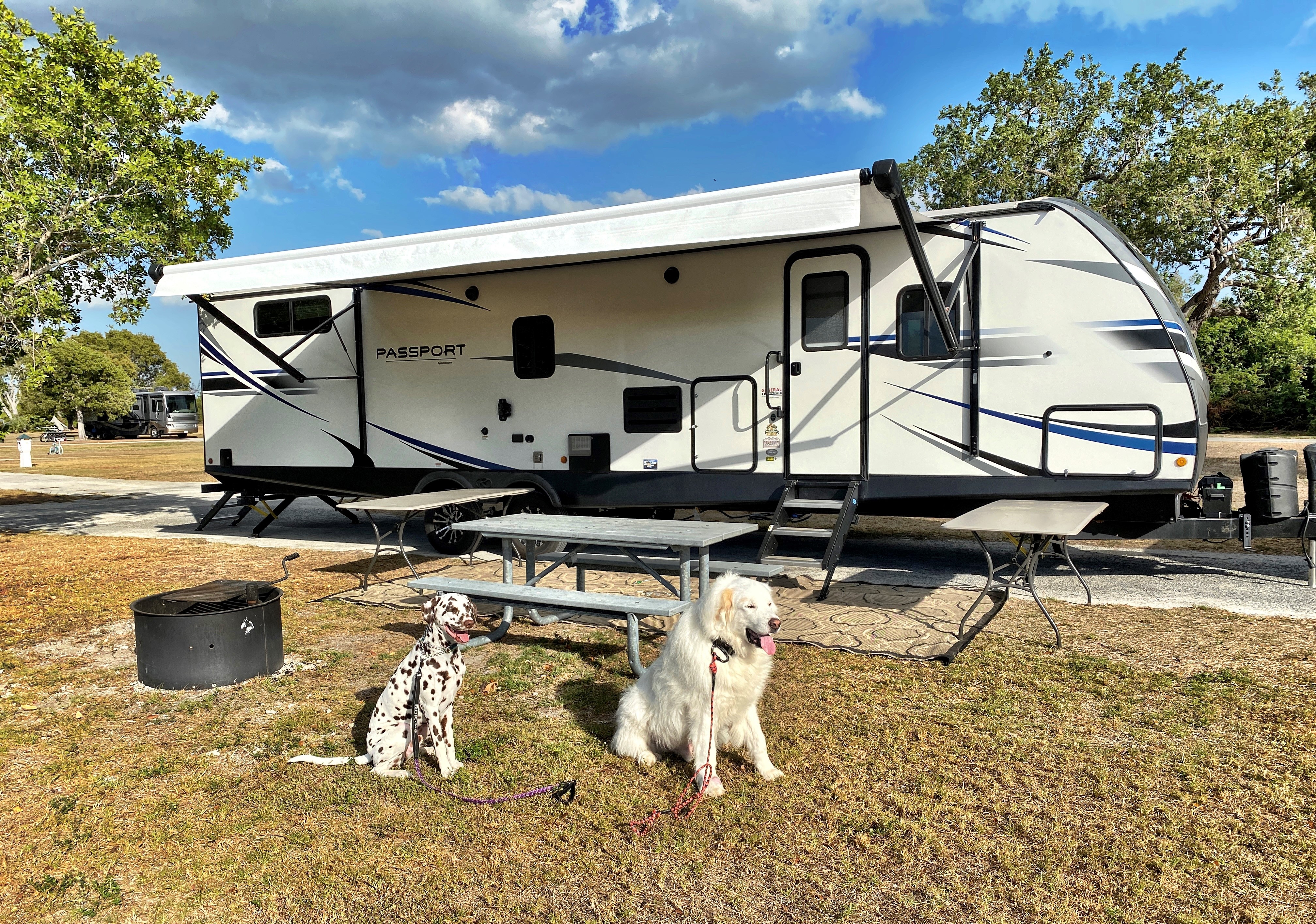 What are the best 2022 RVs for Pets? | Keystone RV Blog - Keystone RV