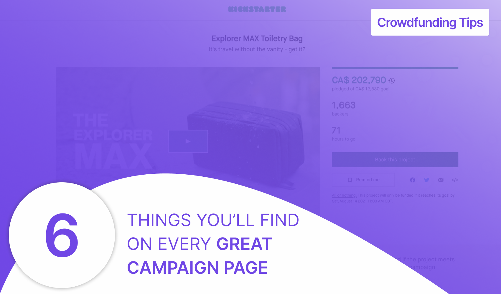 The Top 6 Things You'll Find On Every Great Campaign Page | Kickbooster