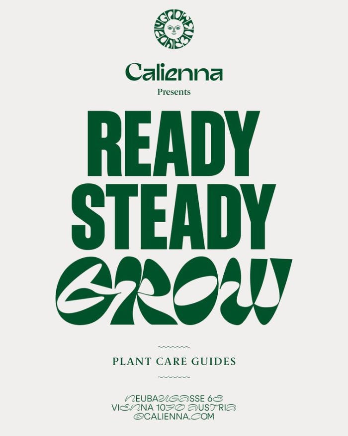 Don't miss it, 15 graphic design trends to keep an eye on in 2025 ...