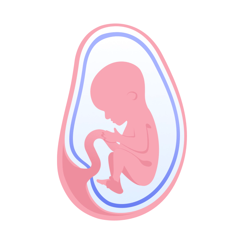 Gravid i vecka 20 - vad händer denna veckan? | Knodd