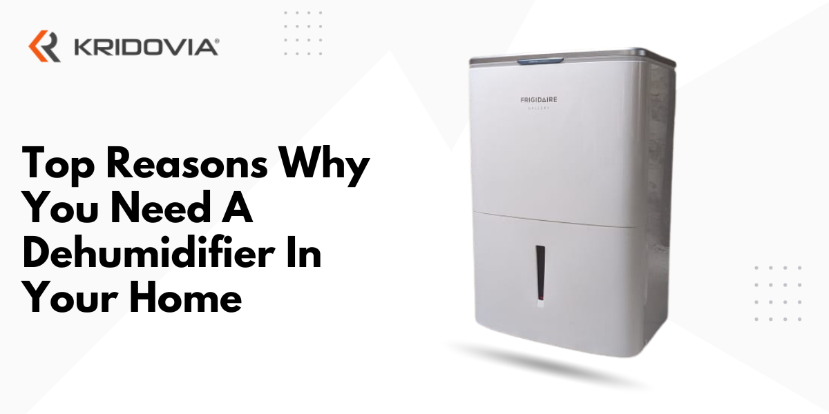Top 16 Reasons Why You Need A Dehumidifier In Your Home?