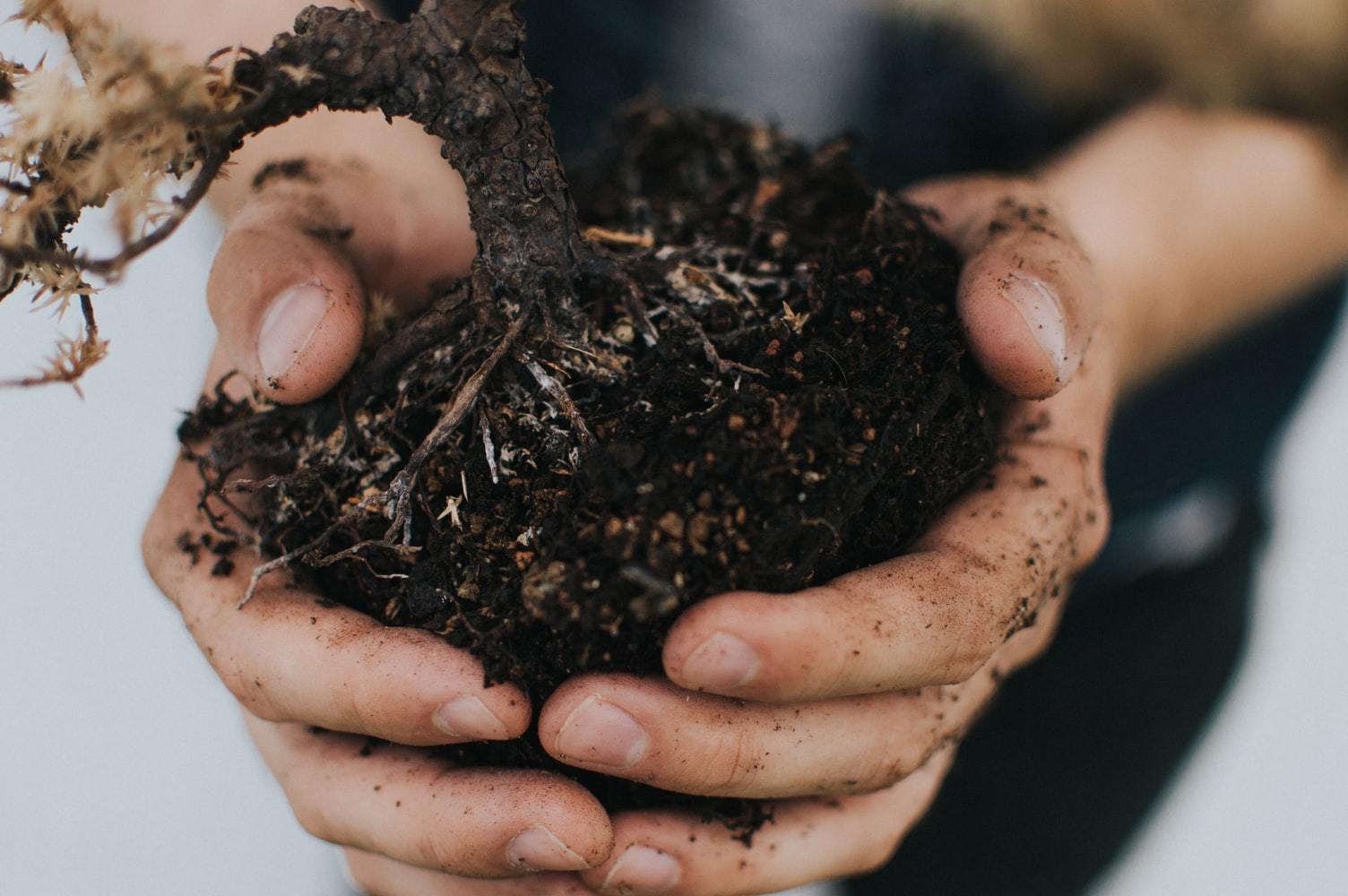Le guide pour faire son compost maison