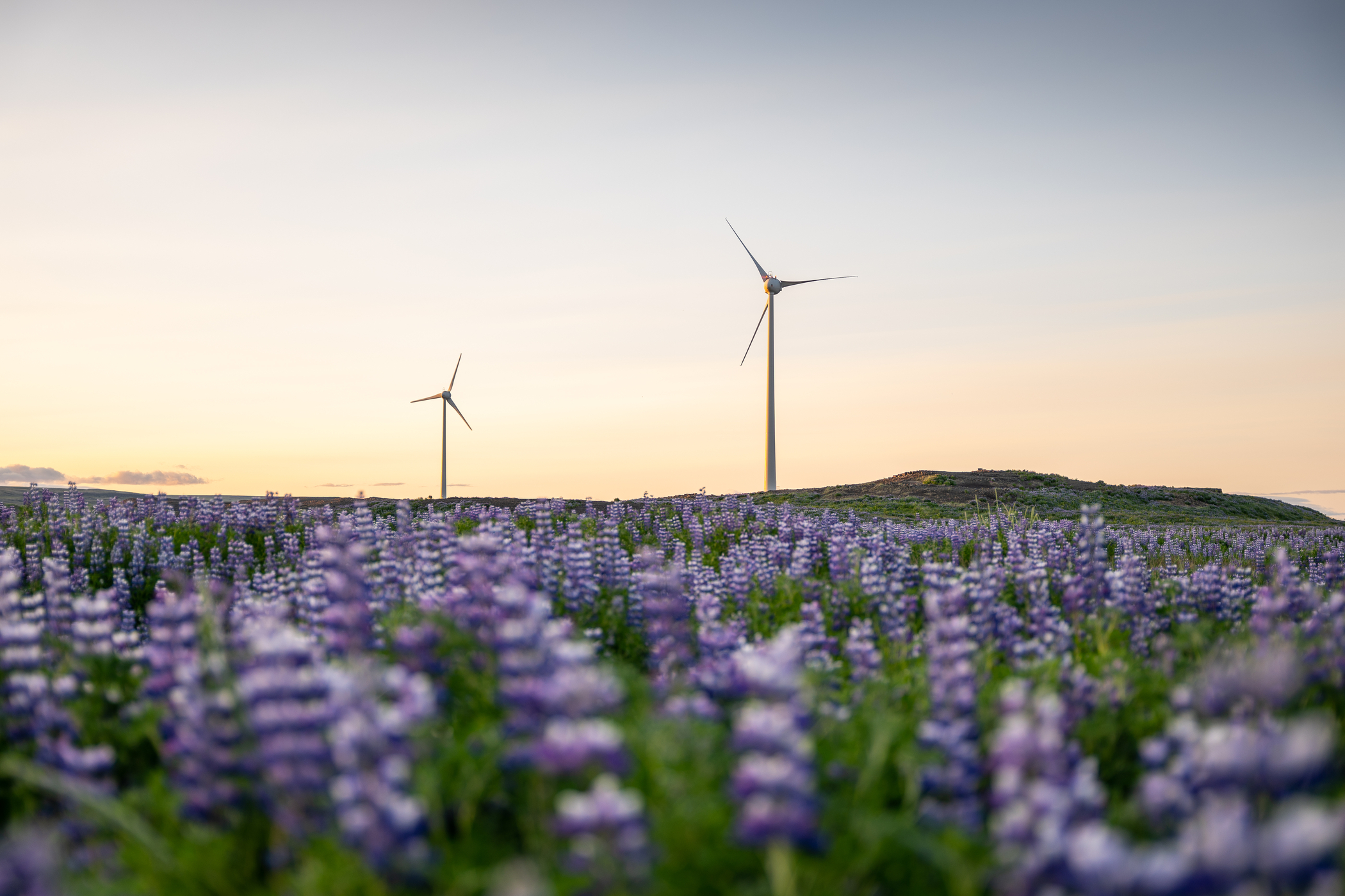 Photos from Hafið Wind Farm