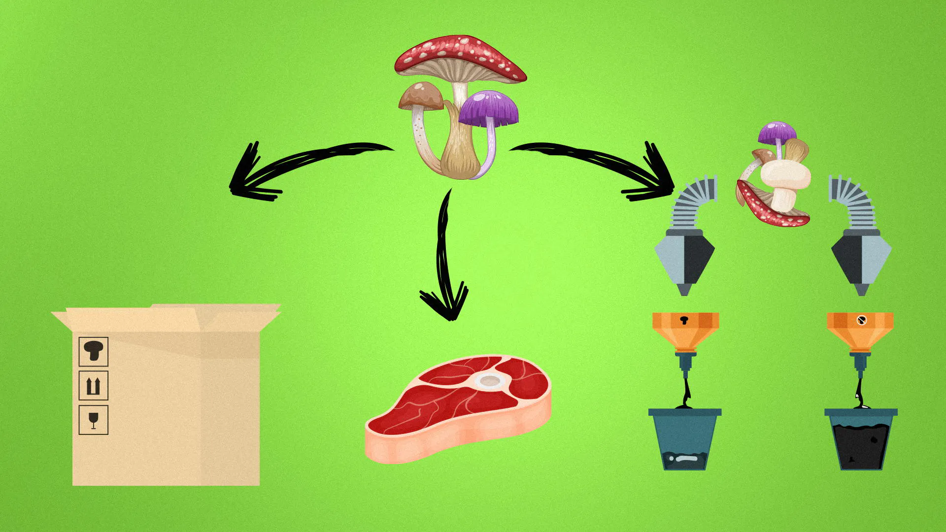 Three Fantastic Fungal Technologies That Could Supercharge Climate ...