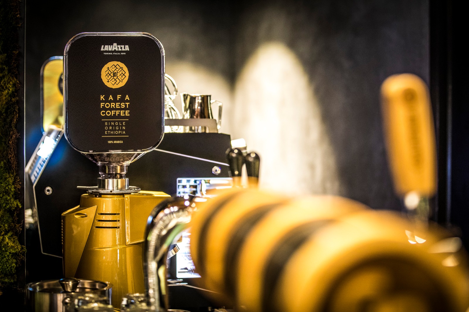 Kafa Forest Coffee, the mother of all coffees