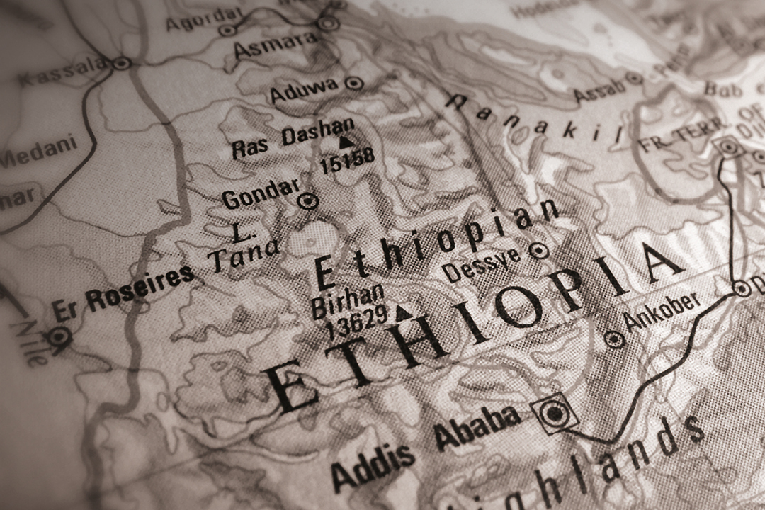 Kafa Forest Coffee, the mother of all coffees