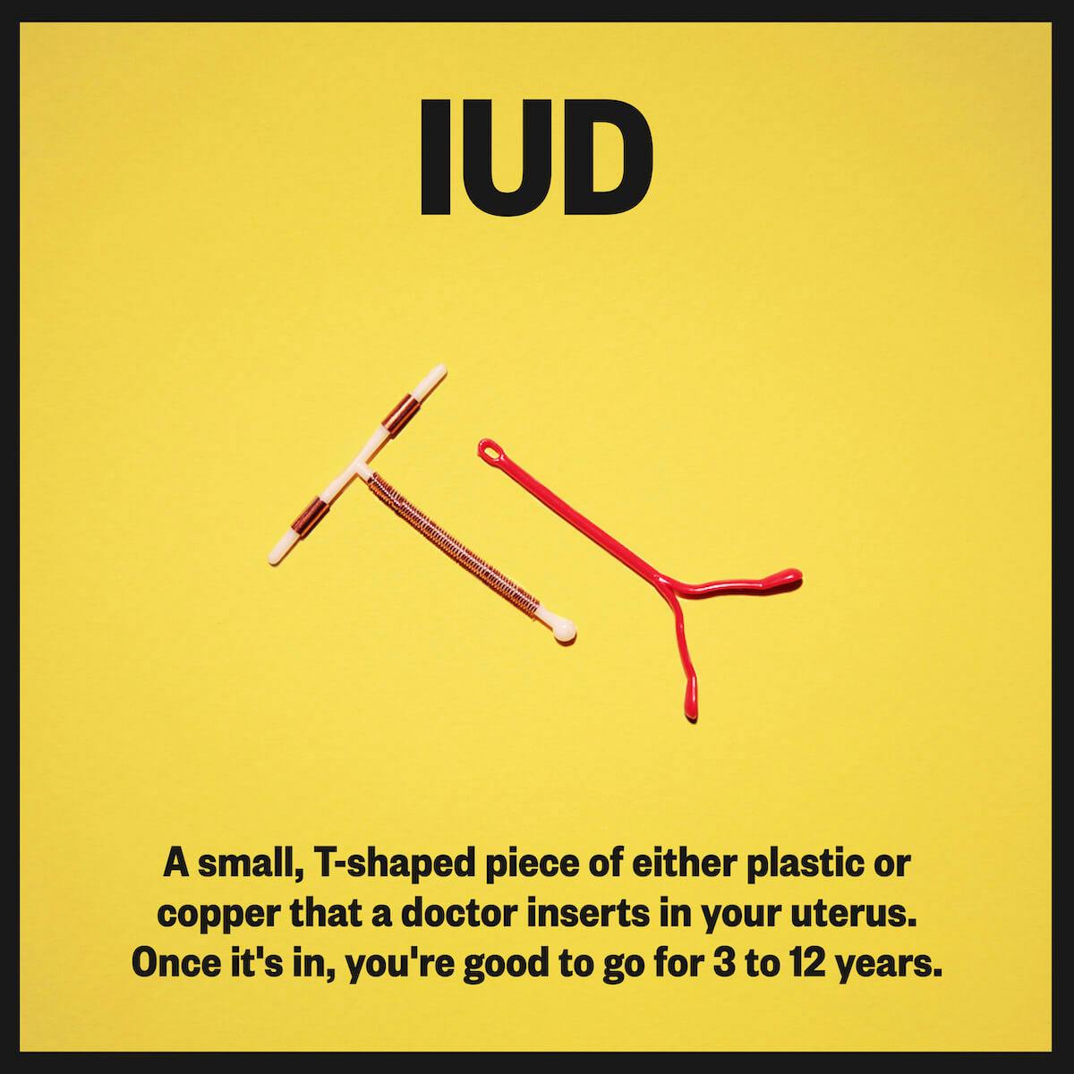 Campaign Toolkit - Layla