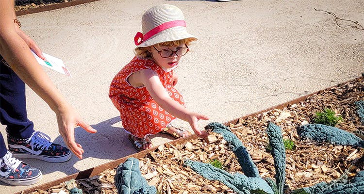 Le Potager Extraordinaire : un projet innovant, solidaire et durable ...