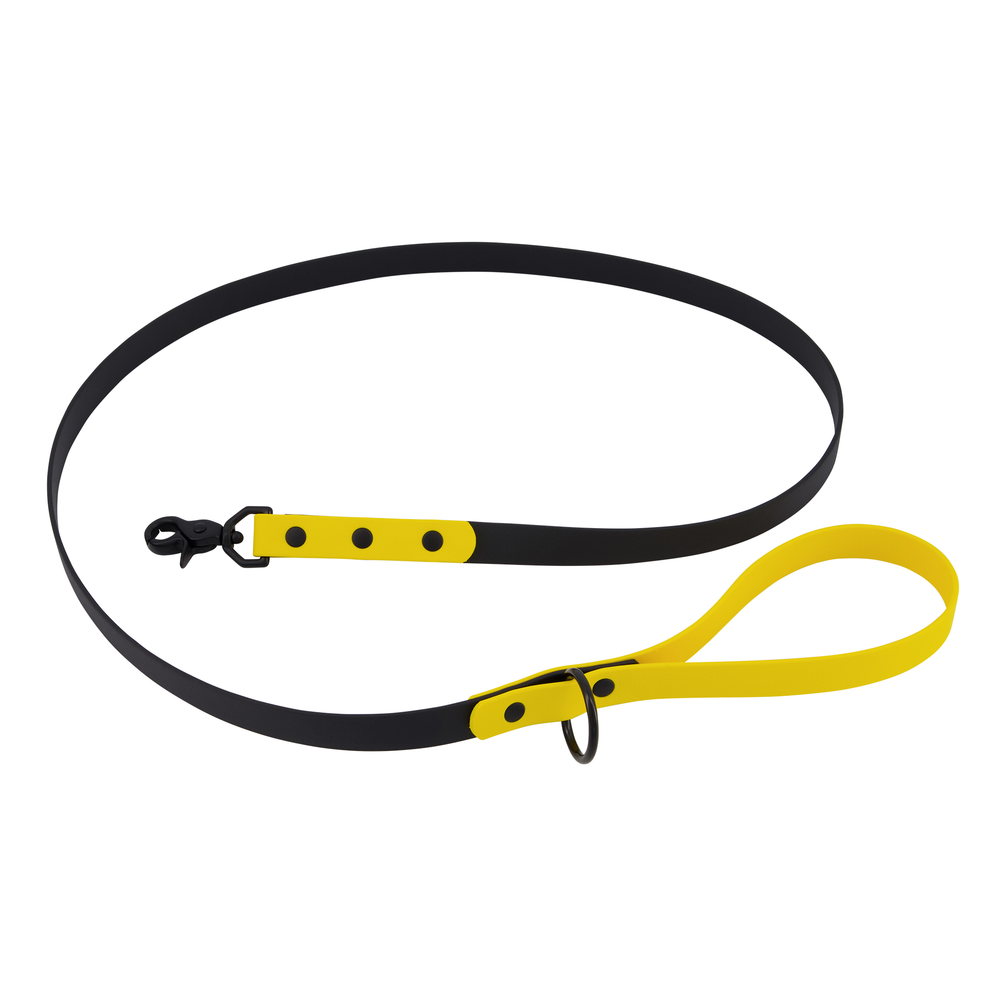 Custom Biothane Dog Leads | Led & Collared NZ
