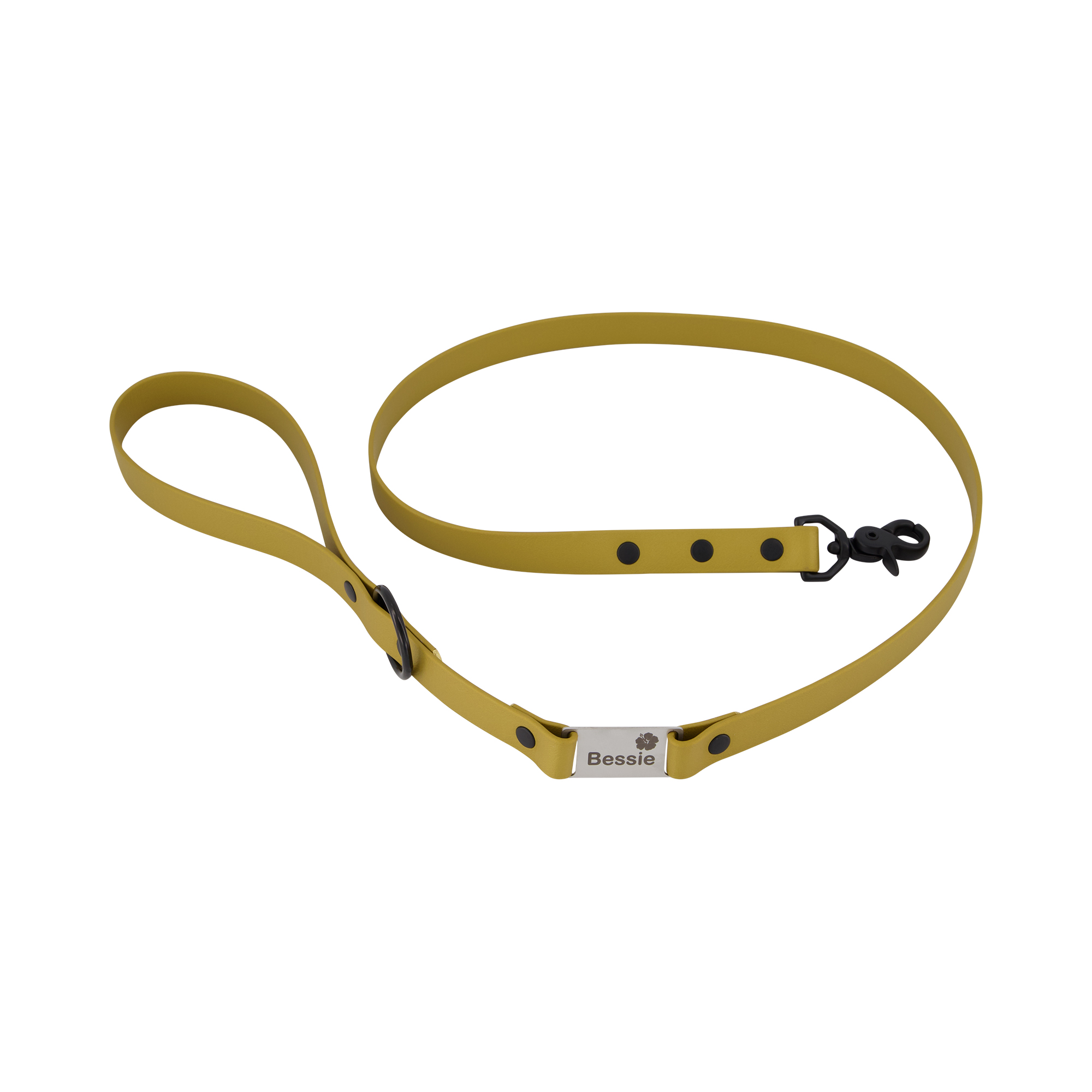Labelled Dog Lead | BioThane® | Led & Collared NZ