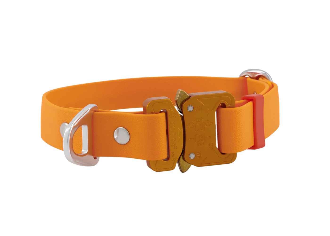 Custom Dog Collars | Led & Collared NZ