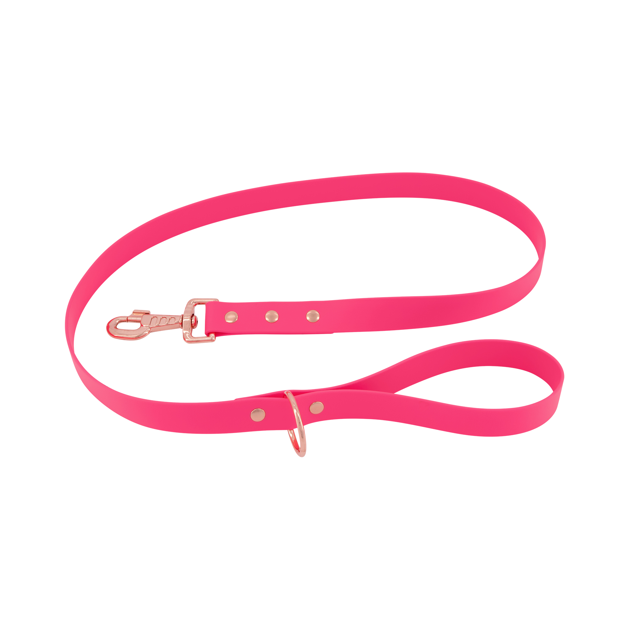Classic Dog Lead | BioThane® | Led & Collared NZ