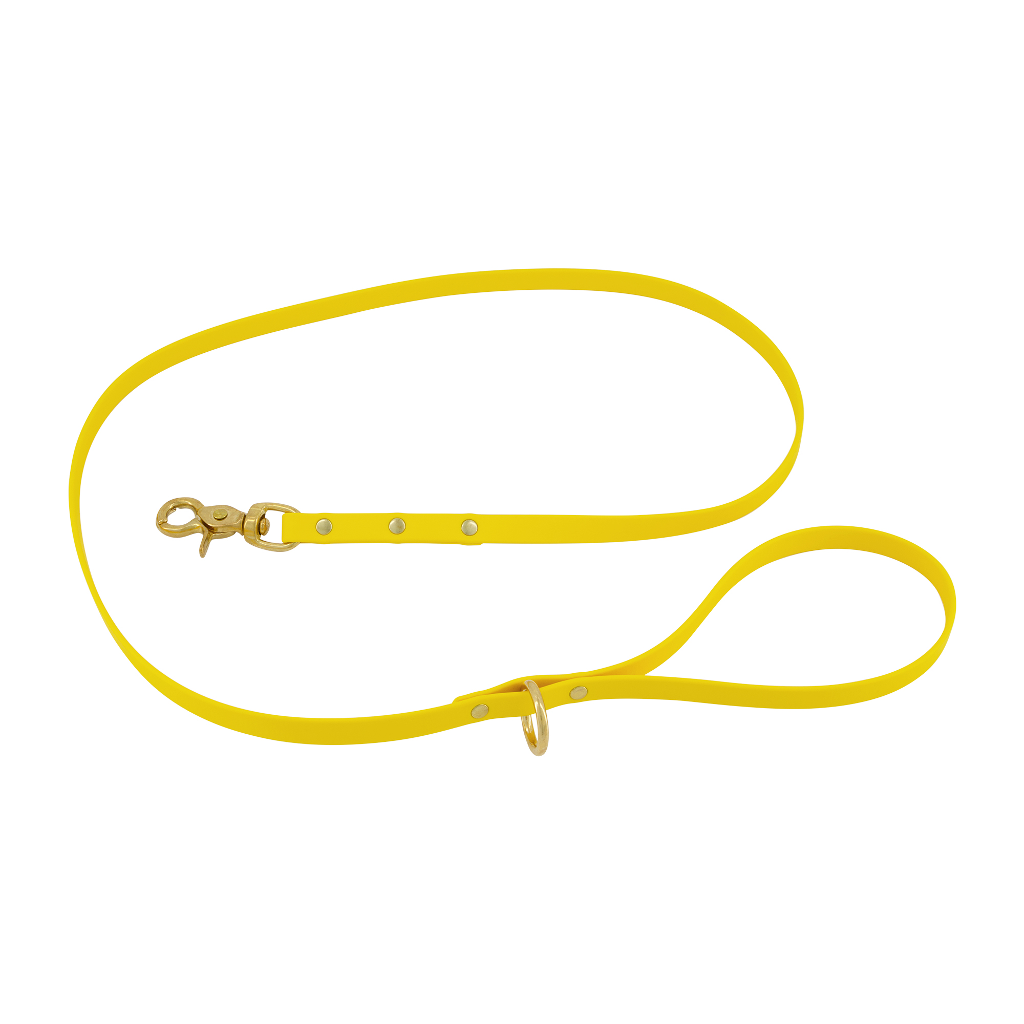 Streamlined Lead - BioThane | Led & Collared NZ