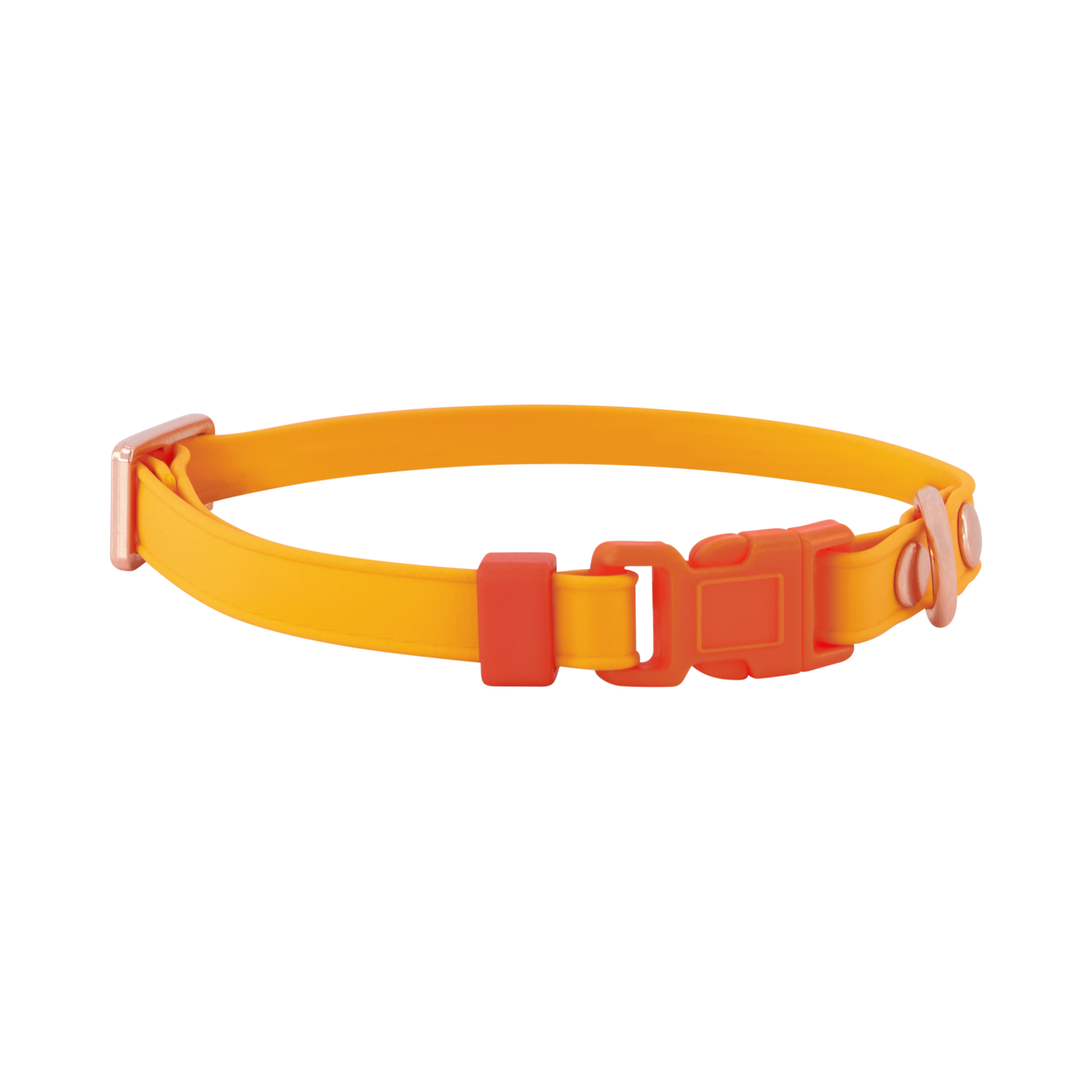 Custom Cat Collar | BioThane® | Led & Collared NZ
