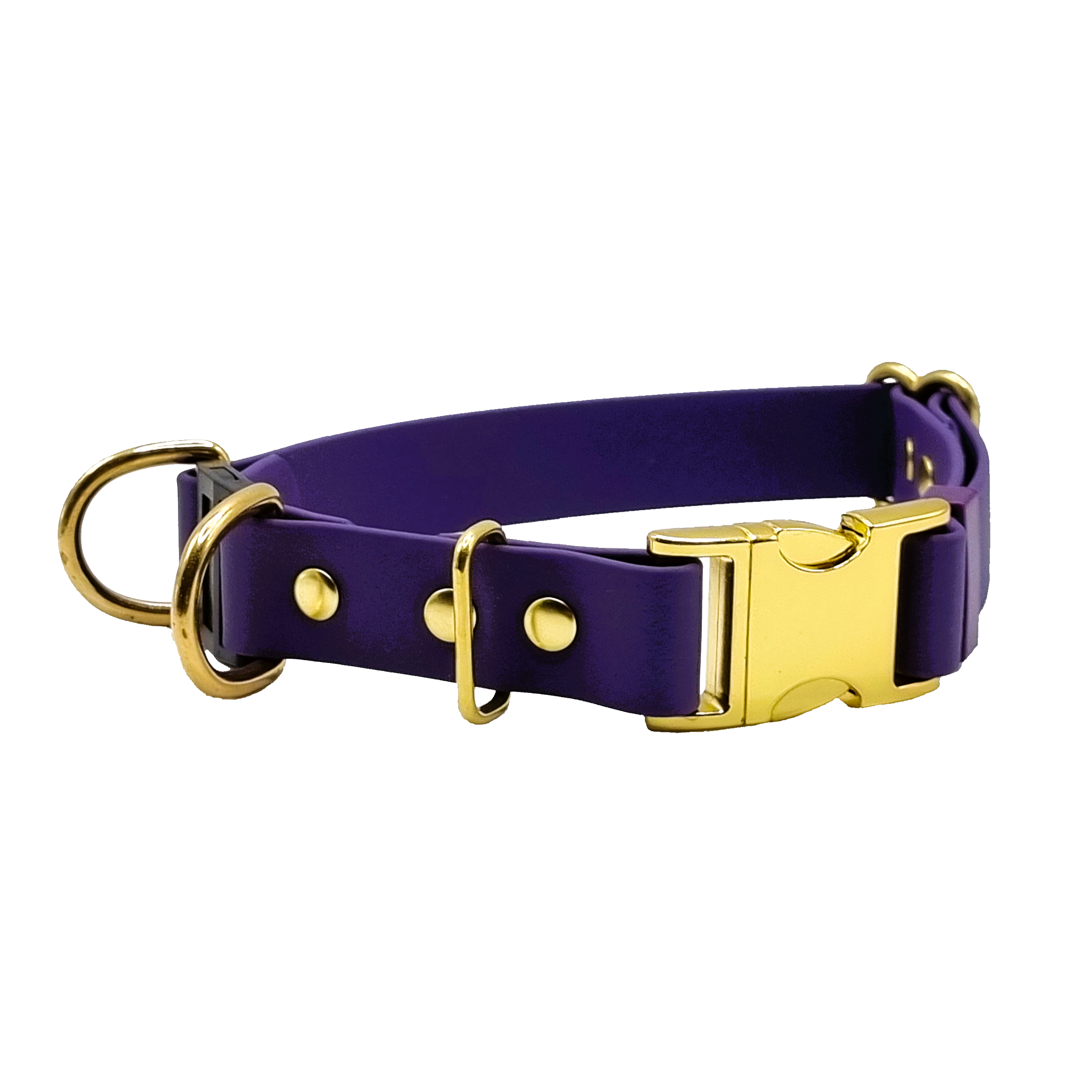 Safety Breakaway Dog Collar | BioThane® | Made in NZ