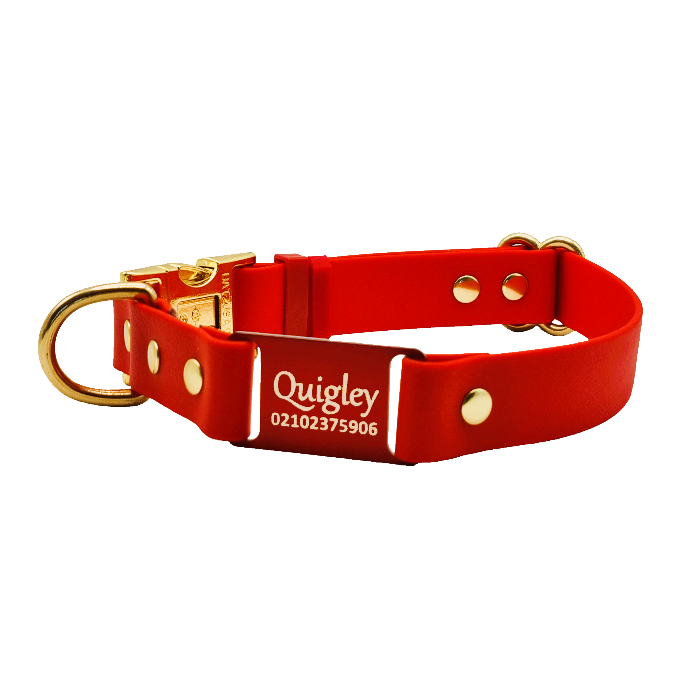 Custom Dog Collars | Led & Collared NZ