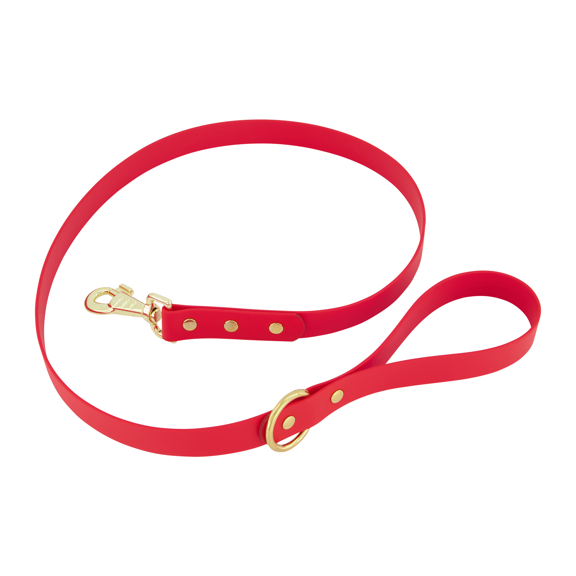 Custom Biothane Dog Leads | Led & Collared NZ