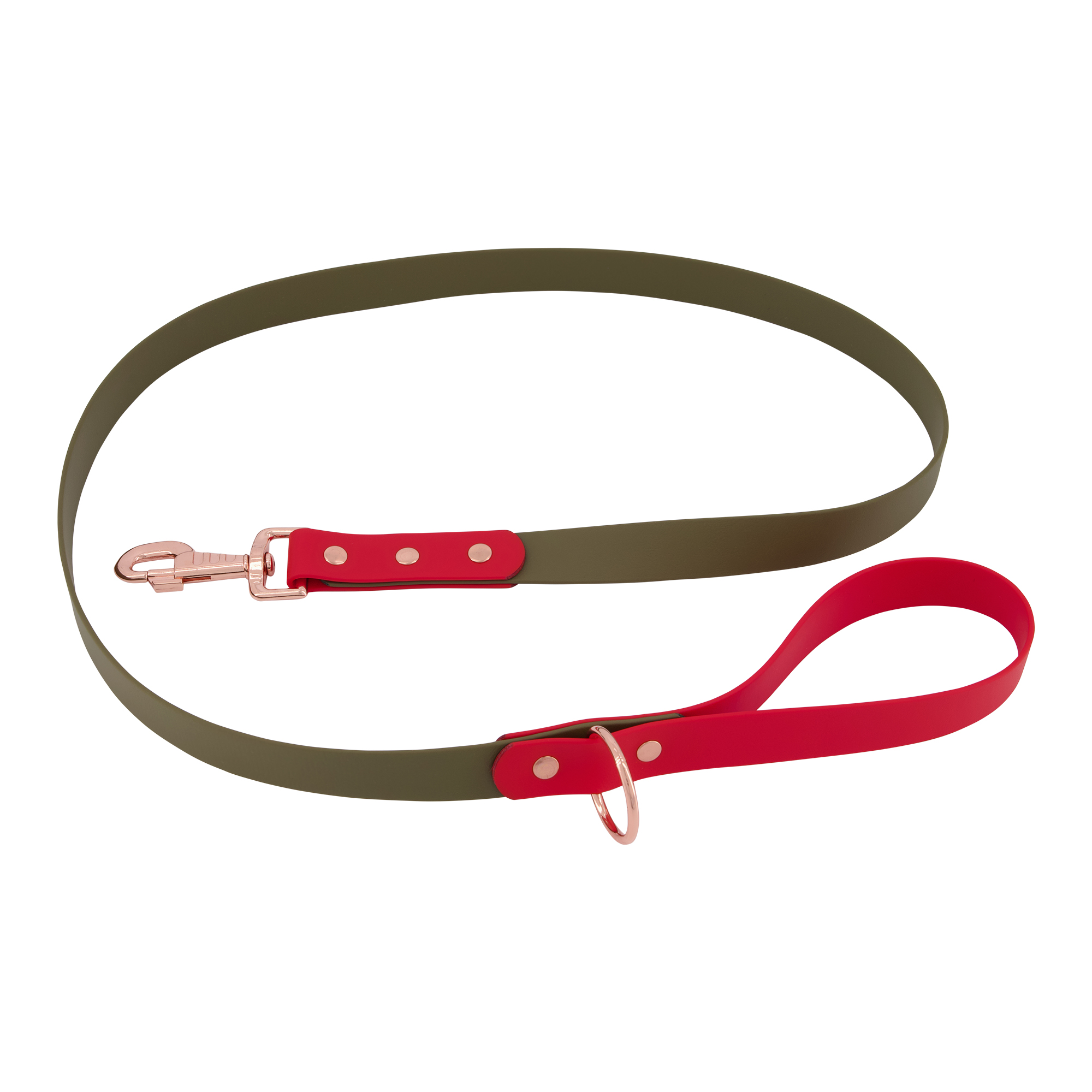 Two-Tone Dog Lead | BioThane® | Led & Collared NZ