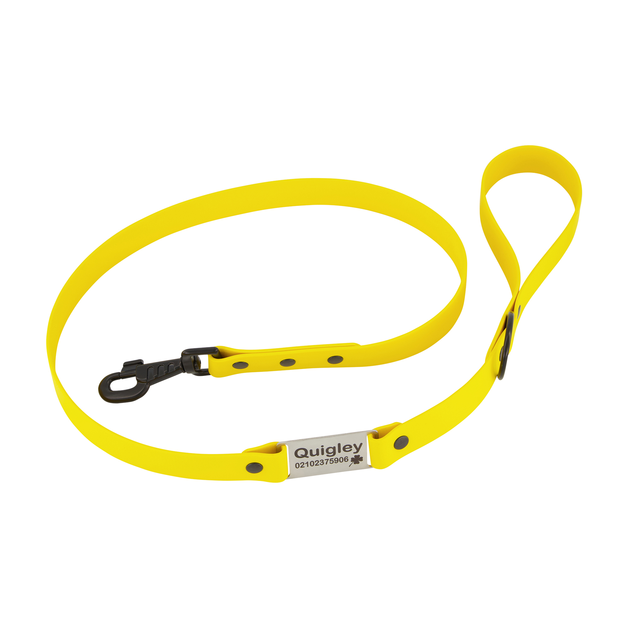 Custom Dog Leads | Led & Collared NZ