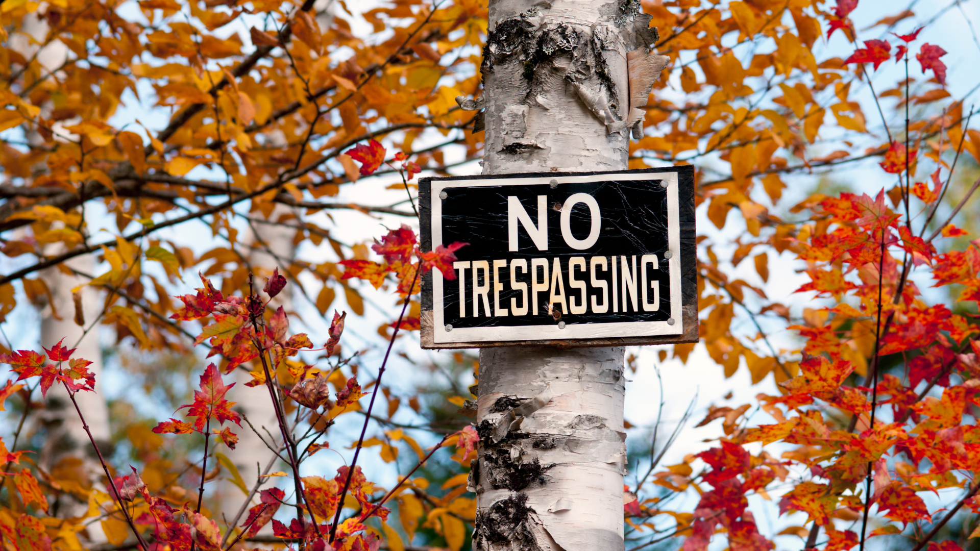 Know Trespassing