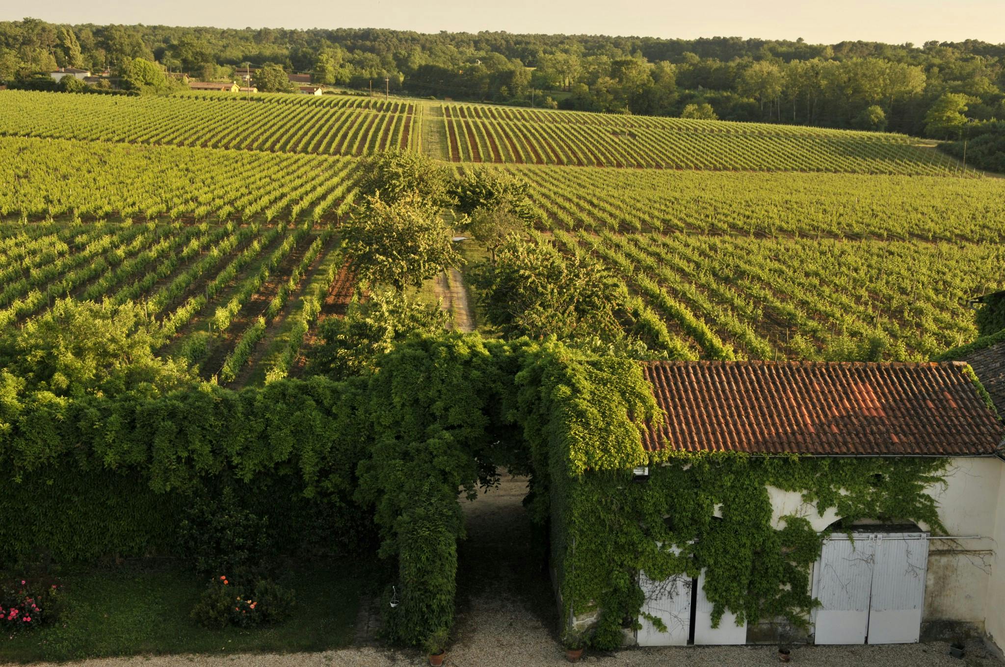 The French wine appellation system