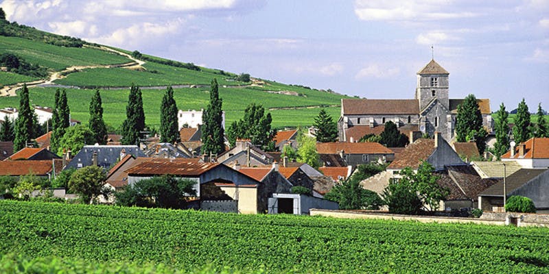Nuits Saint-Georges | Réservez vos Visites de Cave & Dégustations de Vins