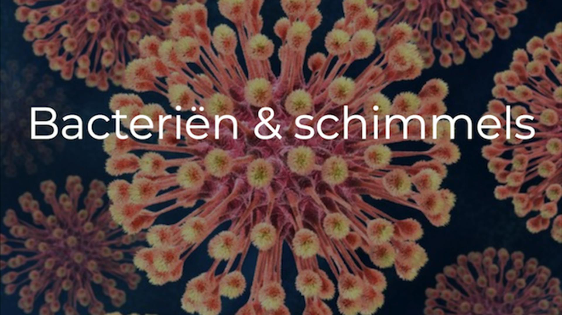 Lesmateriaal voor lessen Biologie | LessonUp