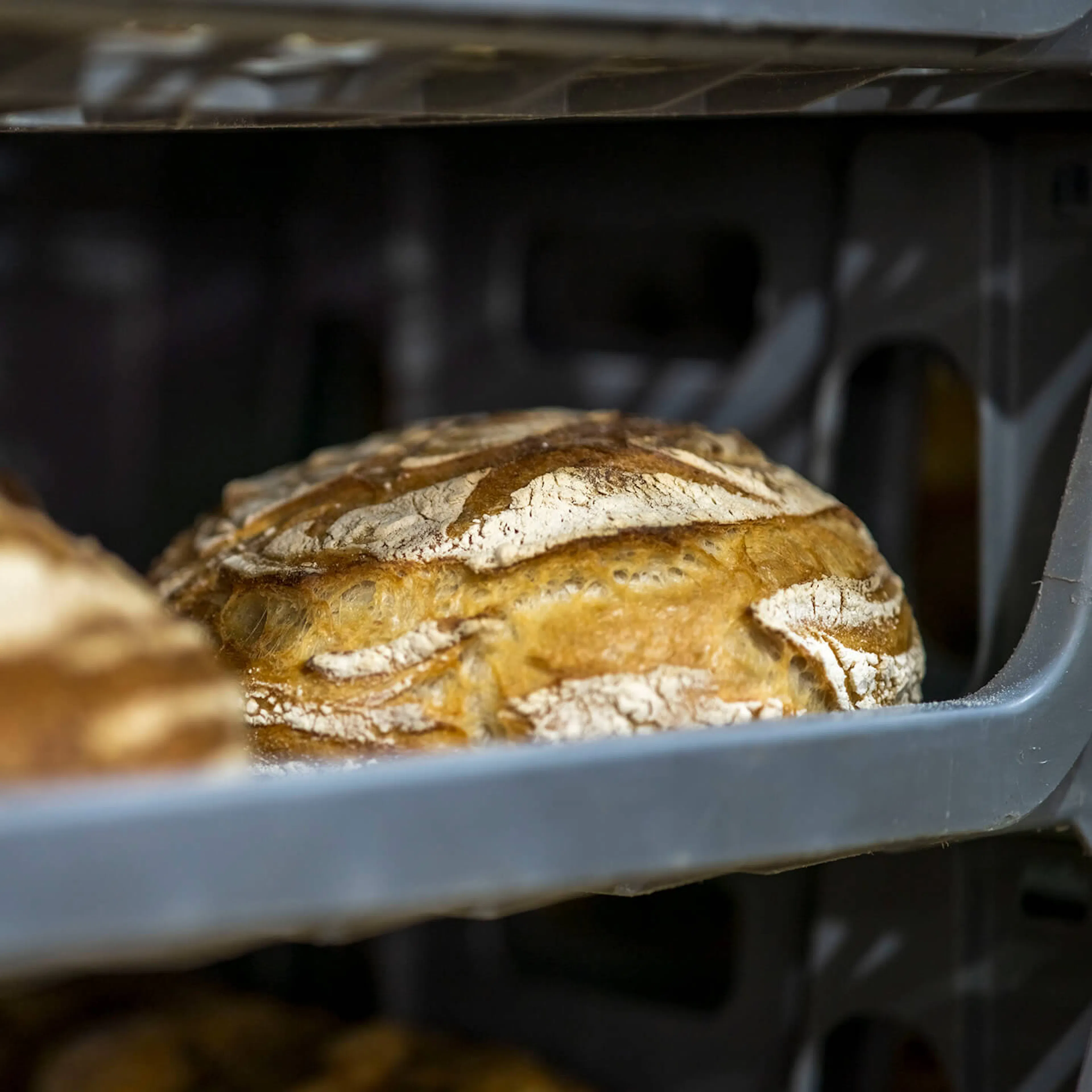 Reeve the Baker | Rebrand of a bakery in South West of England ...