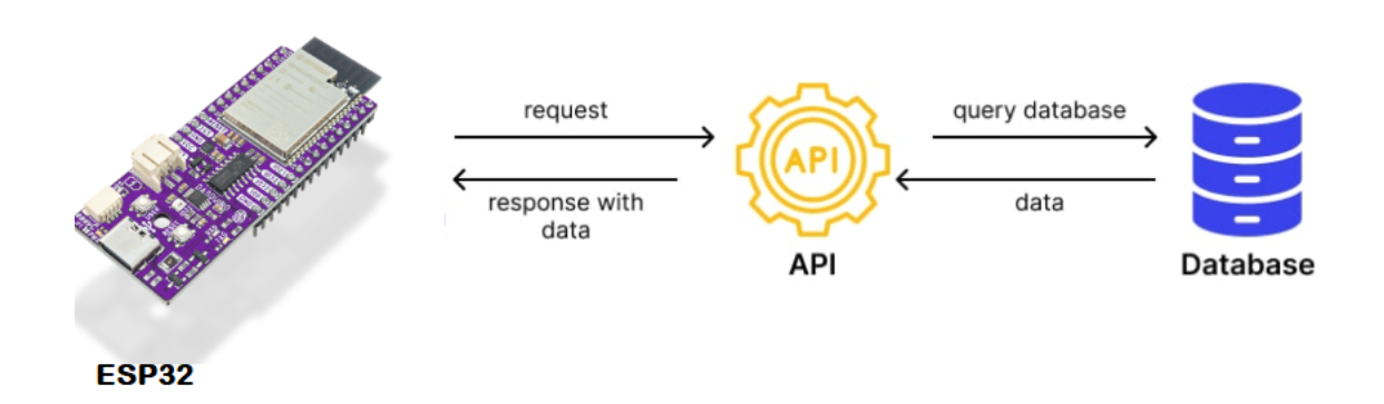 Everything you wanted to know about Perpetual licenses [GUIDE]