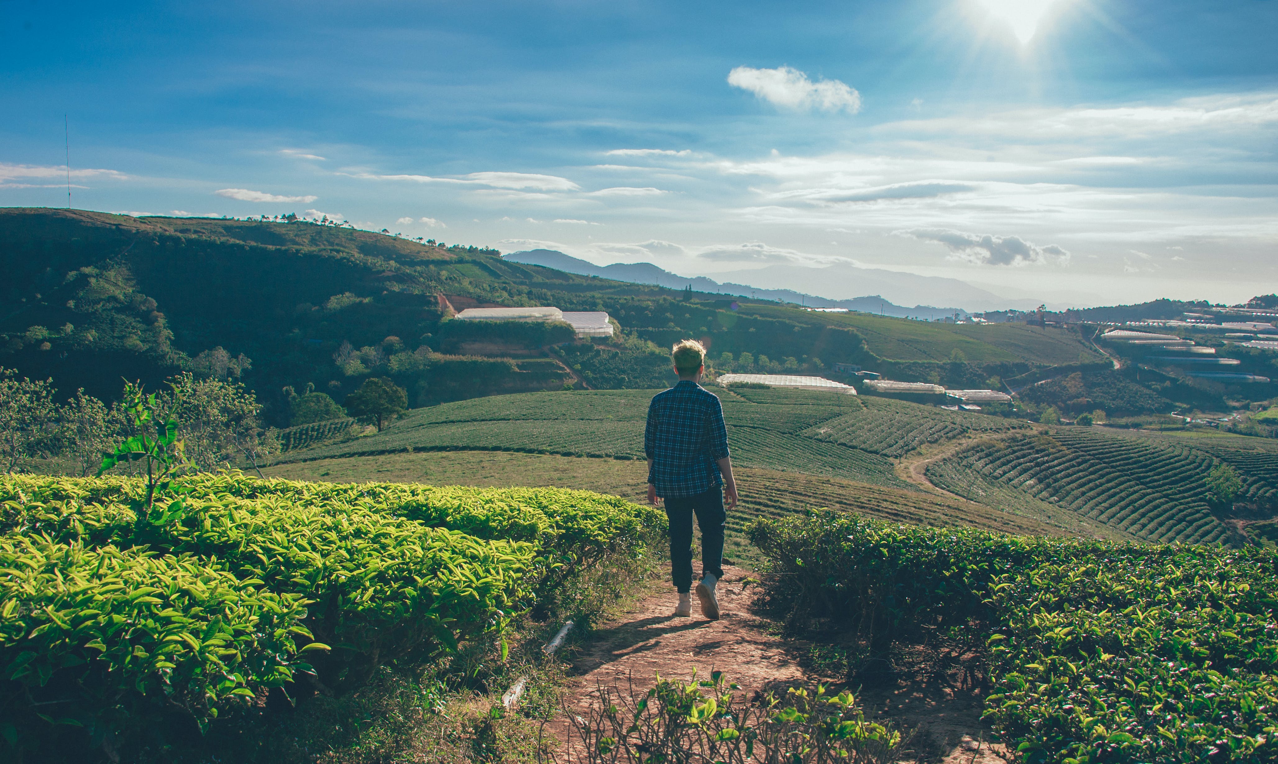 Artigo | Agricultura Familiar: Como Superar e Prosperar! | Listagreen