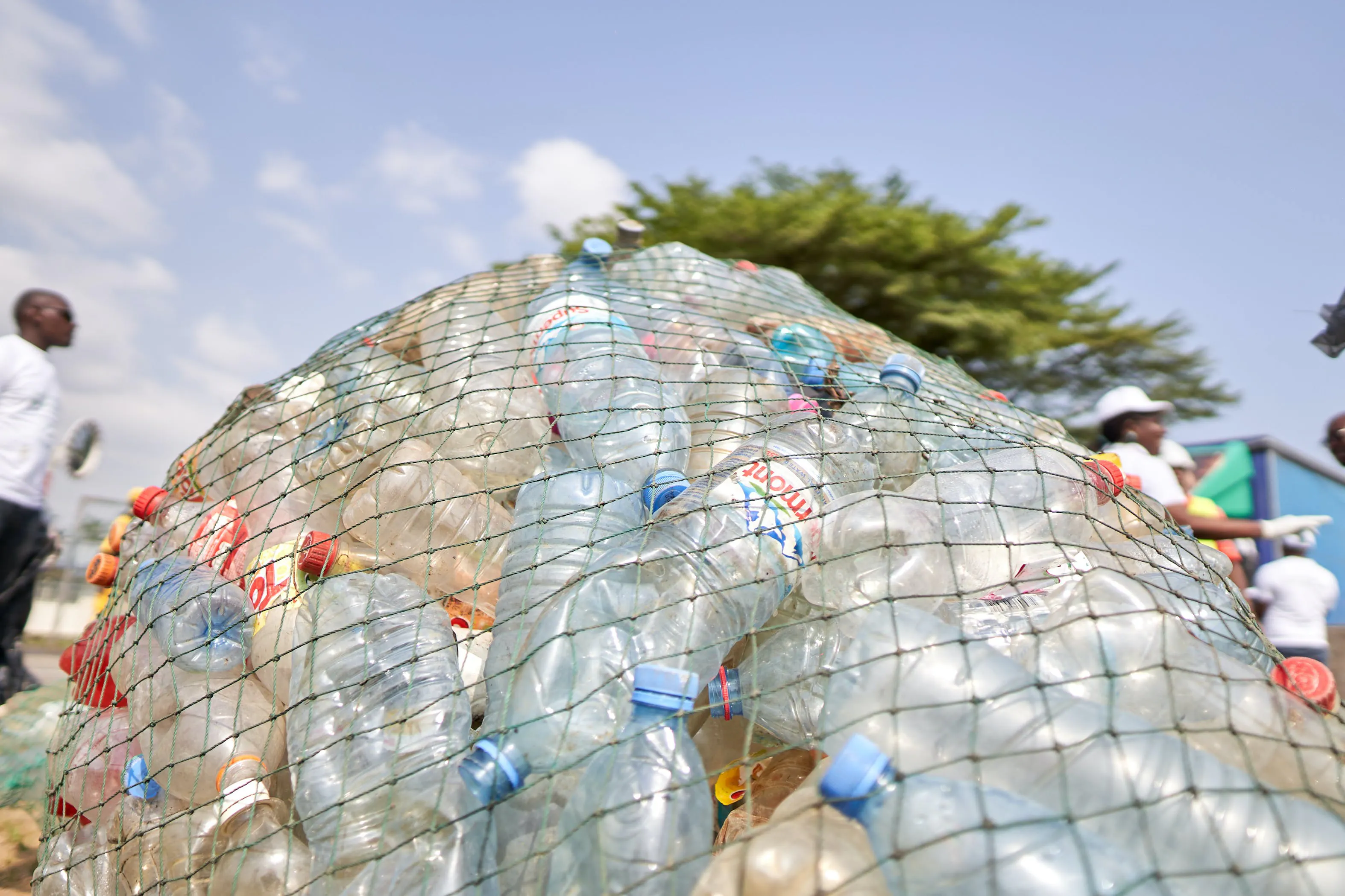 Artigo | Sustentabilidade no Carnaval: Guia Completo pela Lista Green