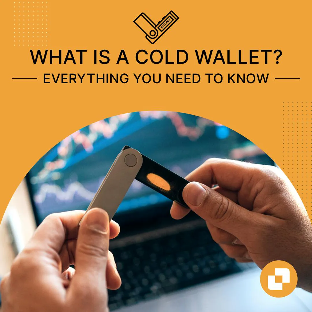What is a Cold Wallet? Everything You Need to Know