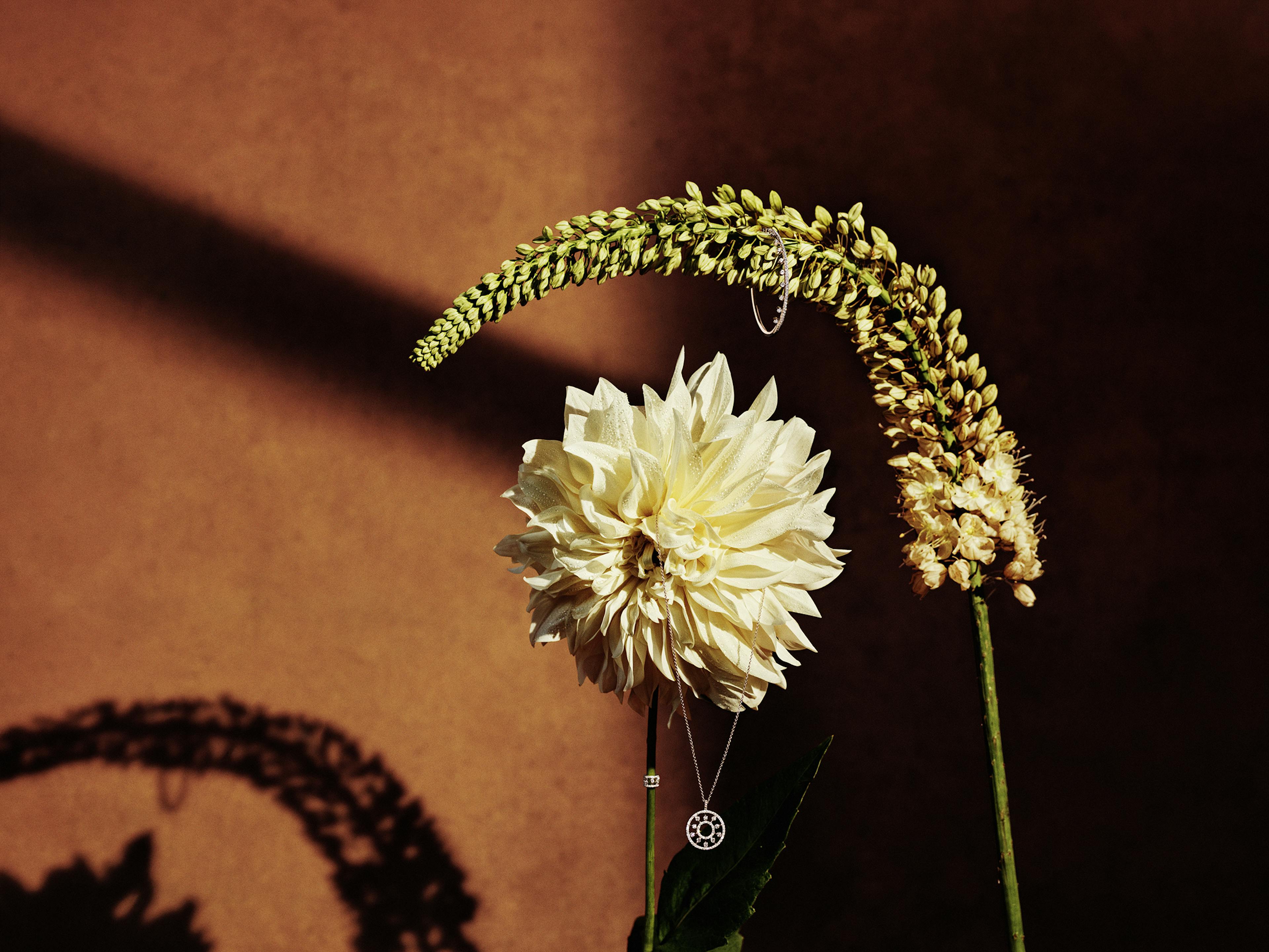 Lock Studios Productions