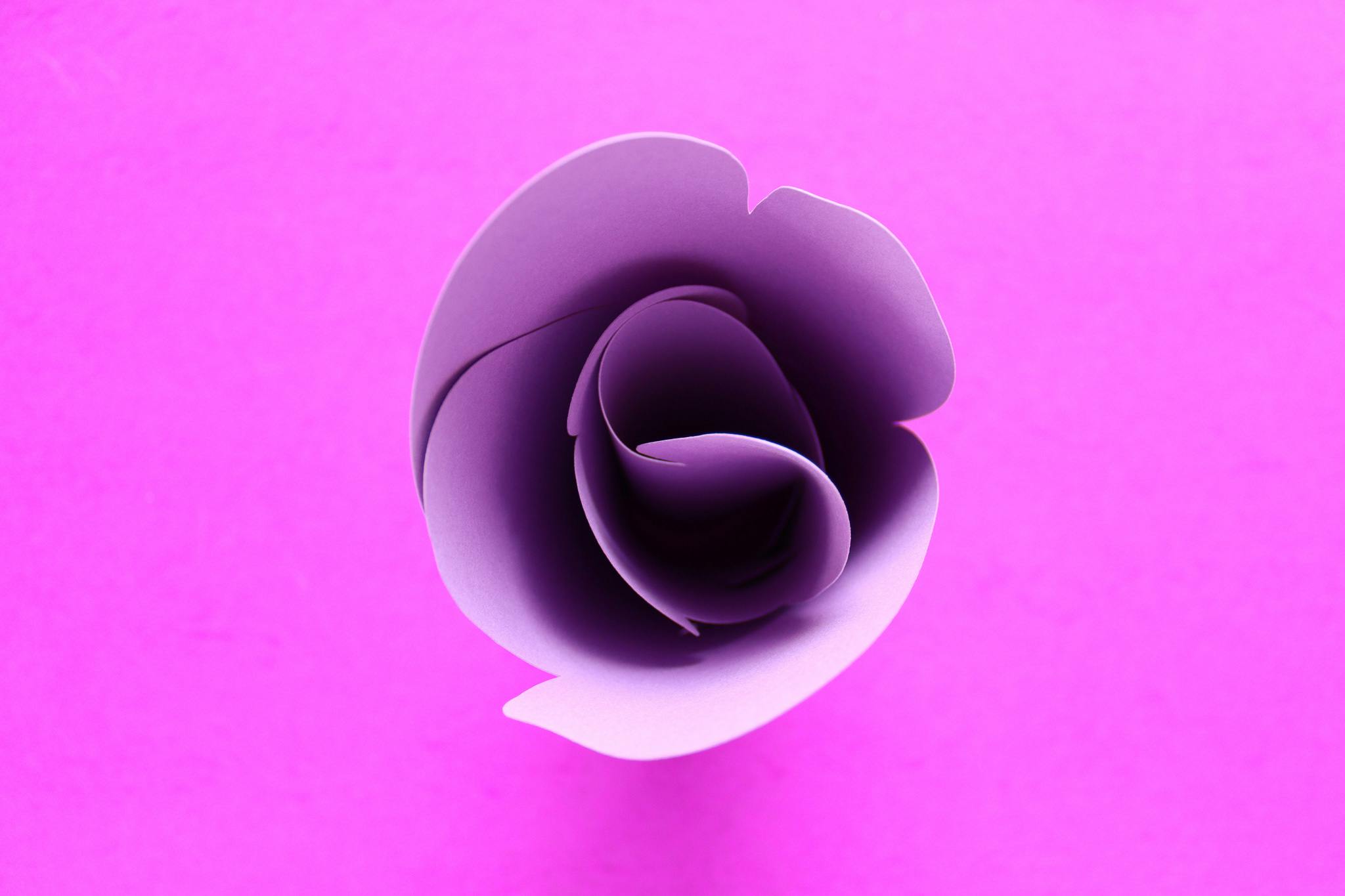 How to Make Paper Flowers with Cricut | LoveCrafts