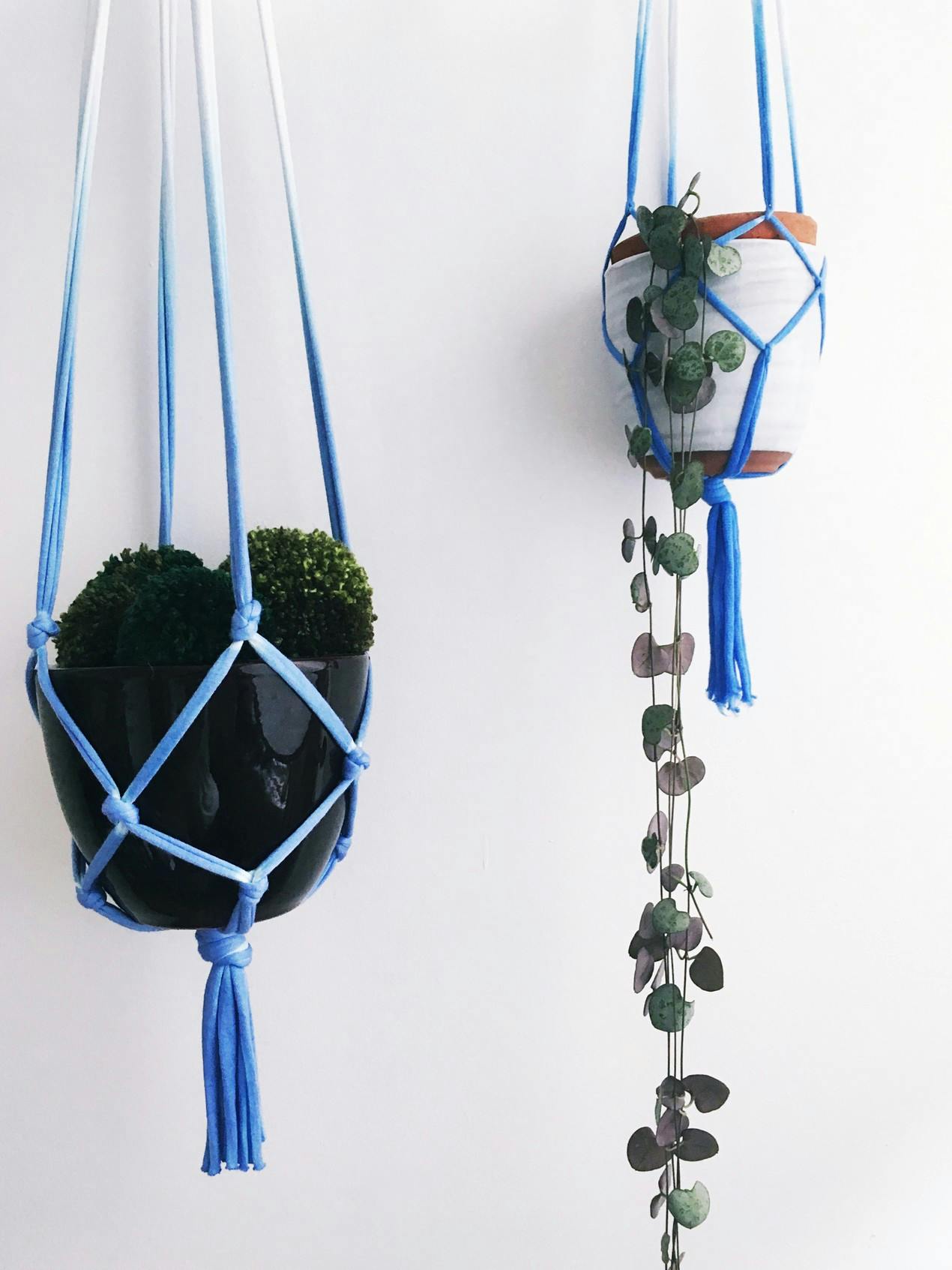 How to make macrame plant pot holders | LoveCrafts