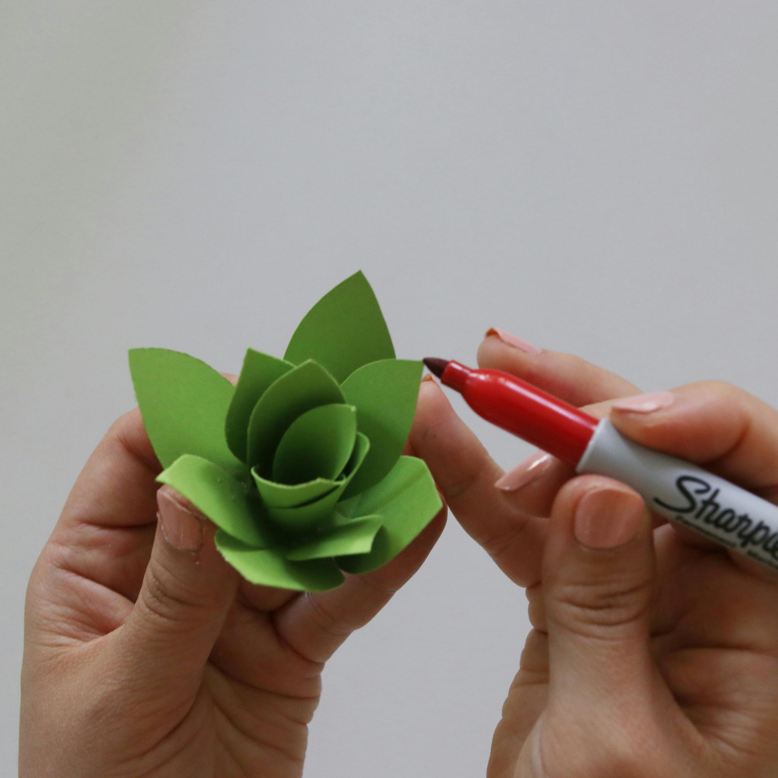 Make your own pretty paper succulents! | LoveCrafts