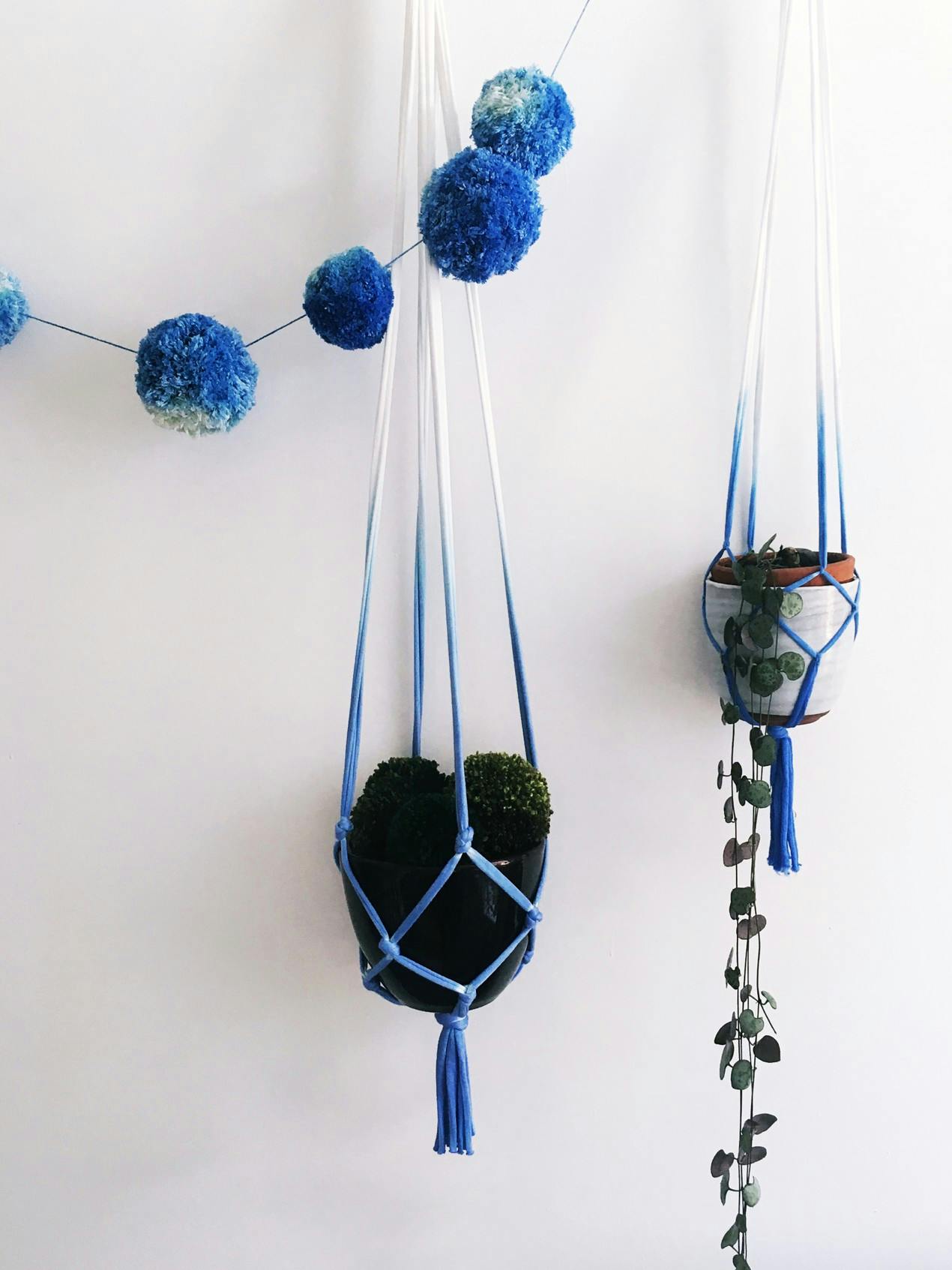 How to make macrame plant pot holders | LoveCrafts