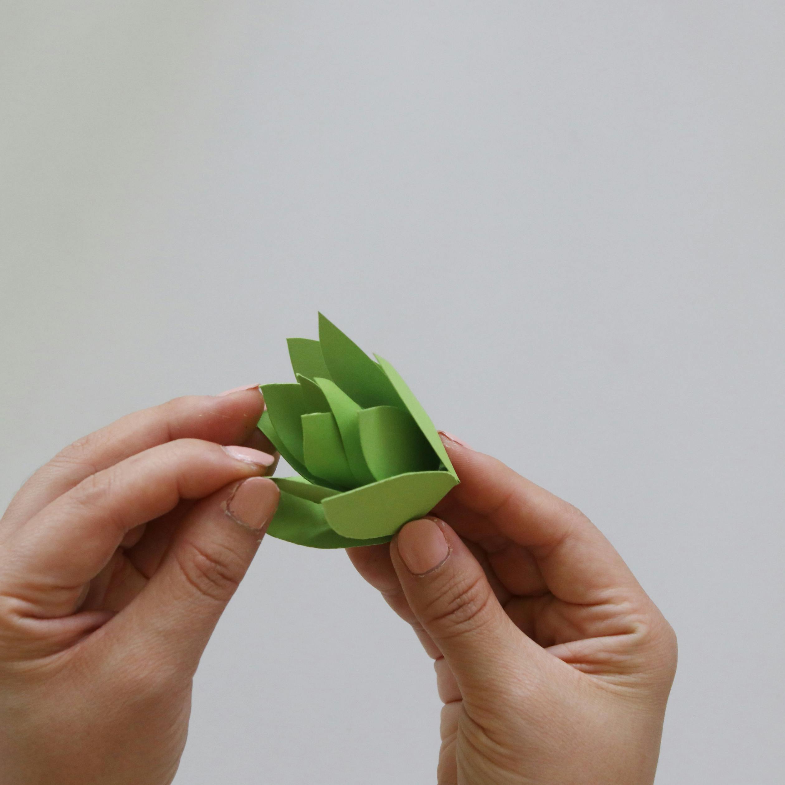 Make your own pretty paper succulents! | LoveCrafts