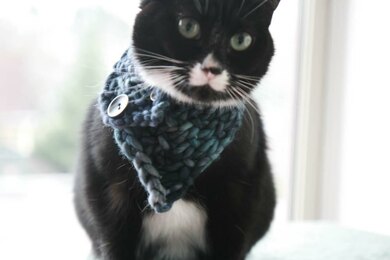 10 FREE patterns for your pets! | LoveCrafts