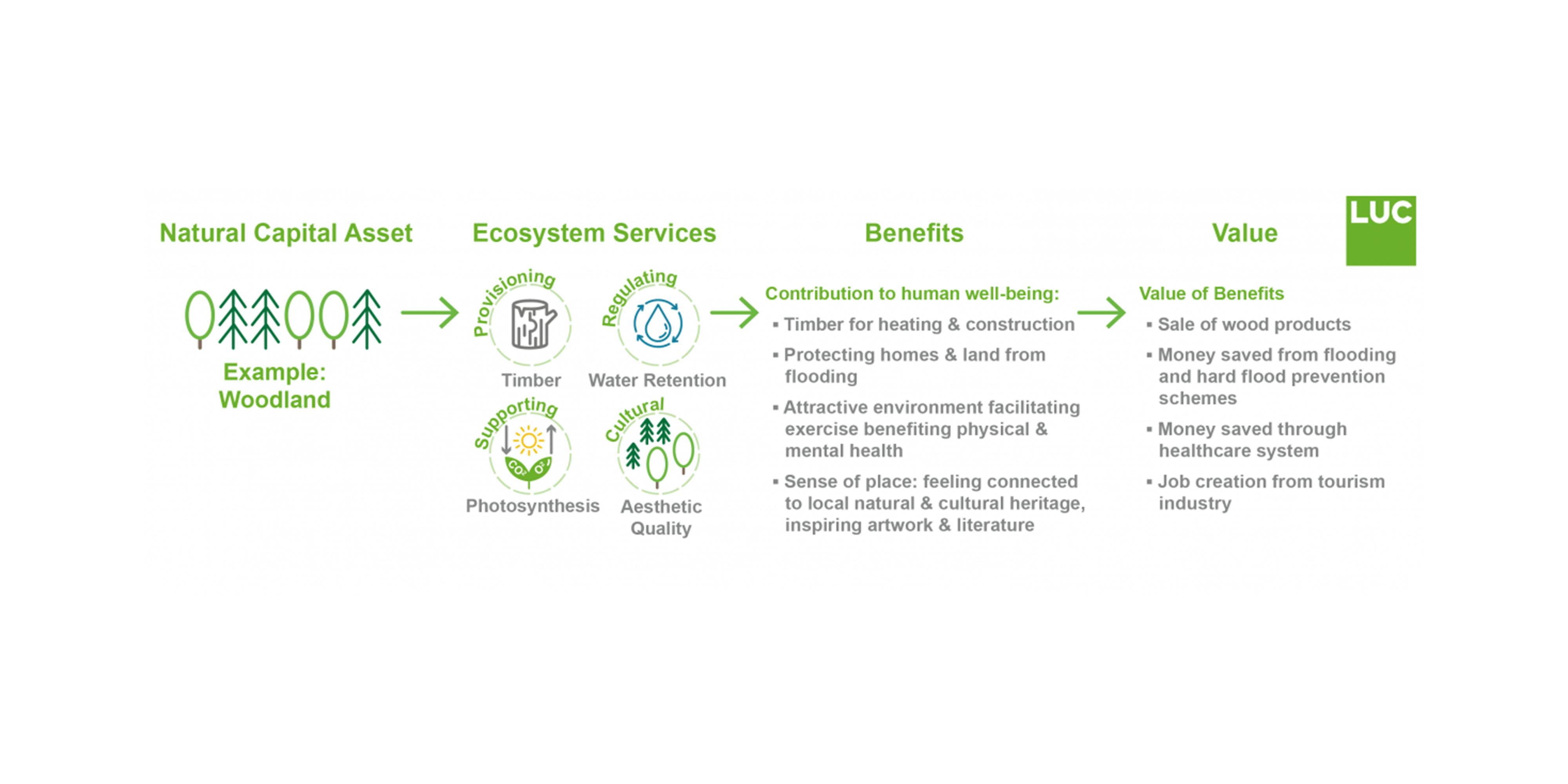 What are natural capital and ecosystems services? | LUC