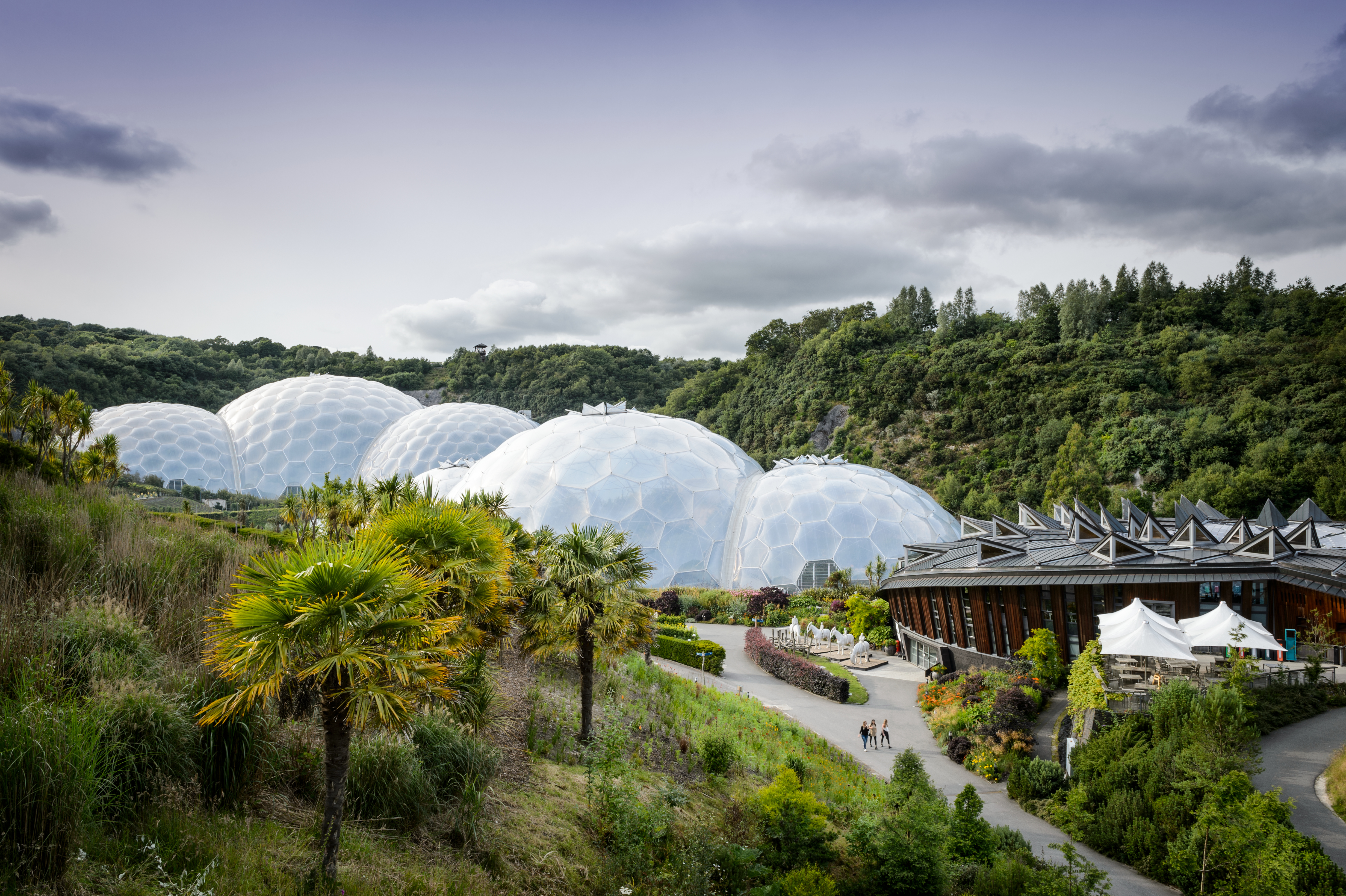 Eden Project Botanical Garden | Fasci Garden